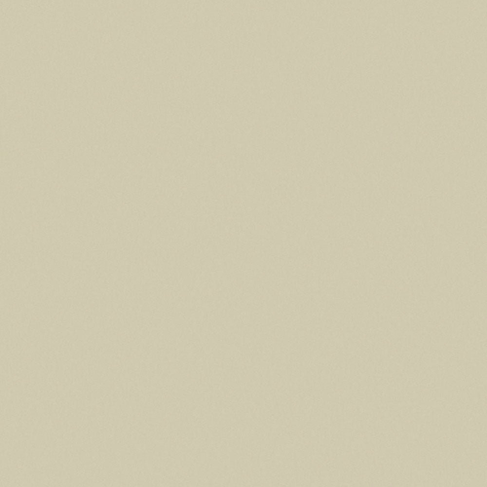 Putty - 1503 - Wilsonart Laminate PVC Edgeband – Cabinetmaker Warehouse