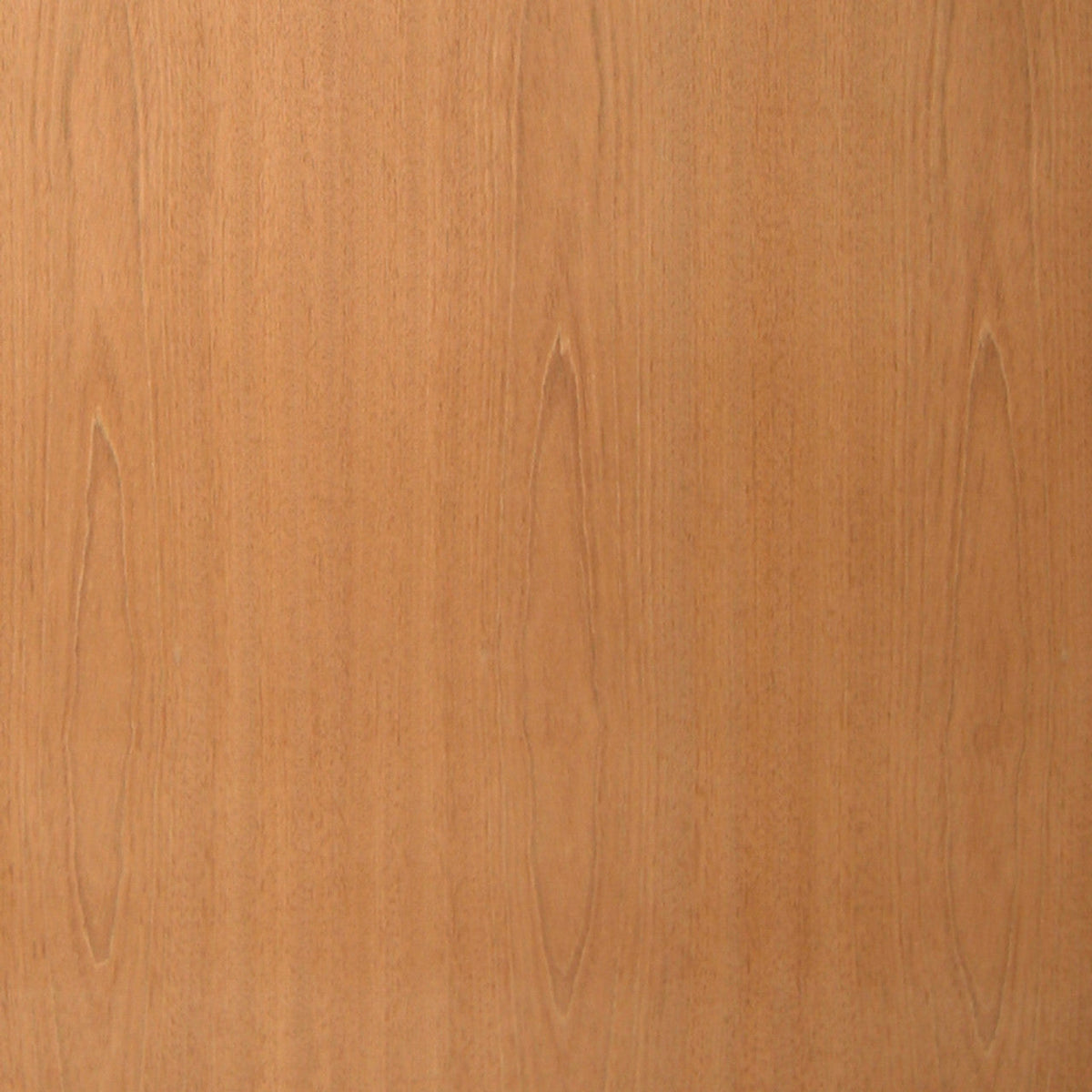 Aged Ash - 8844 - Formica Laminate Sheets – Cabinetmaker Warehouse